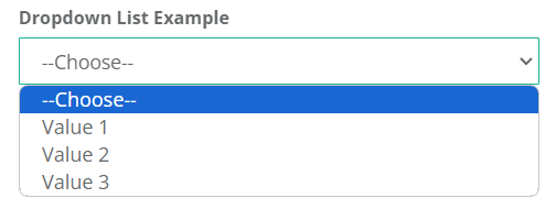 Custom Field Types – Docket Launch